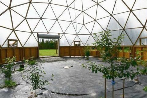 40 Foot Dome - KingDome Inc.